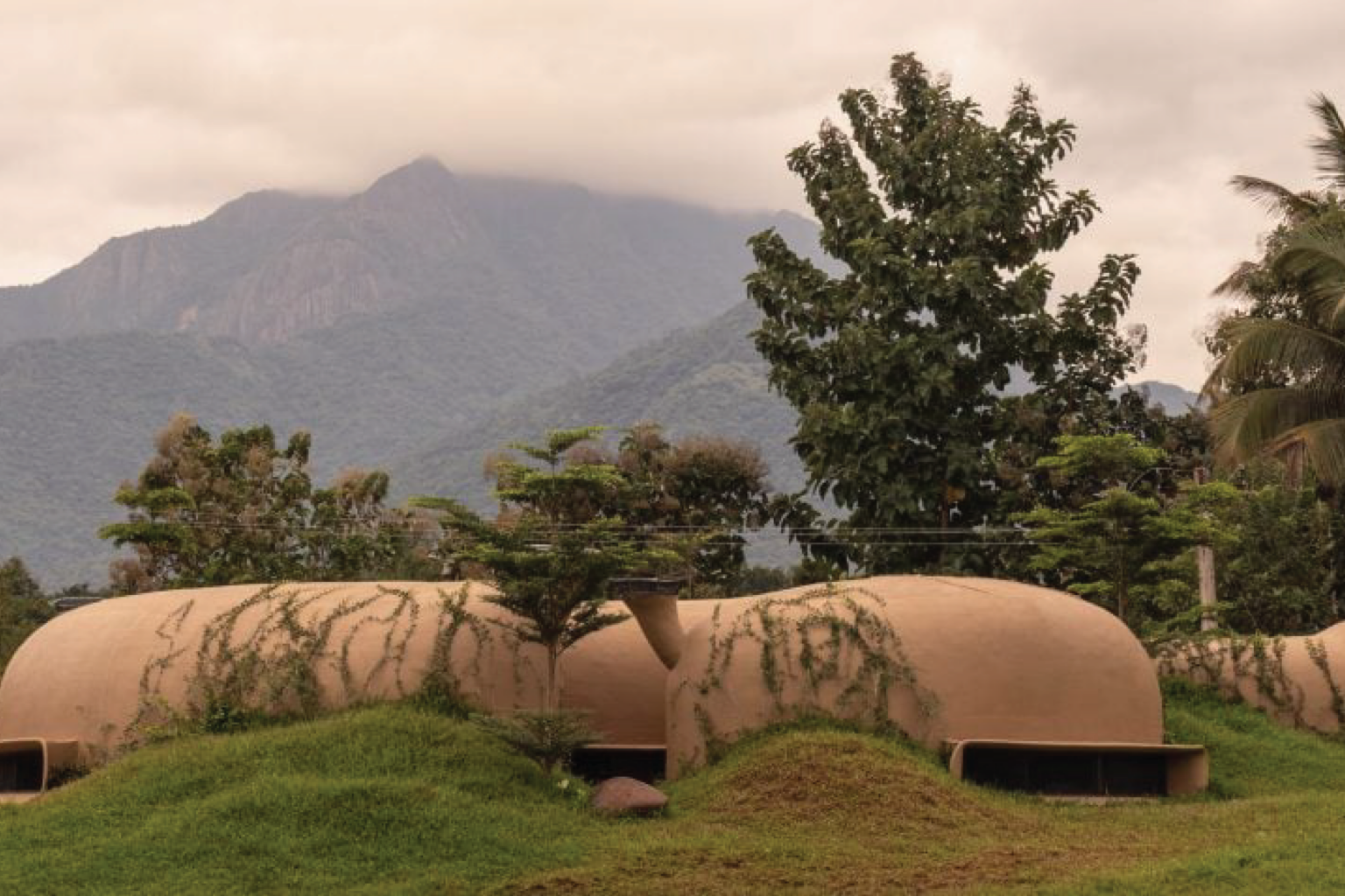 The Wild House: A Masterpiece of Fold Architecture in Harmony with ...